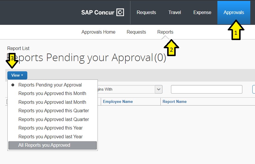 Concur Re Travel Expense